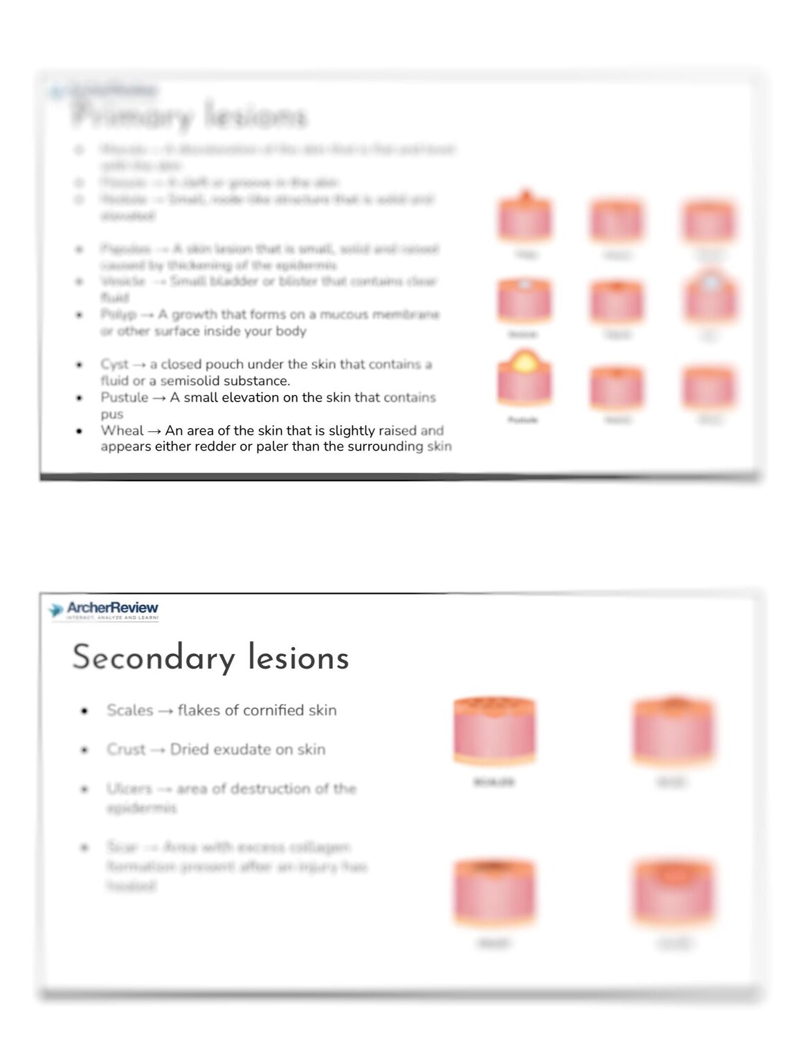 Archer Med Surg Integumentary Study Guide - Etsy