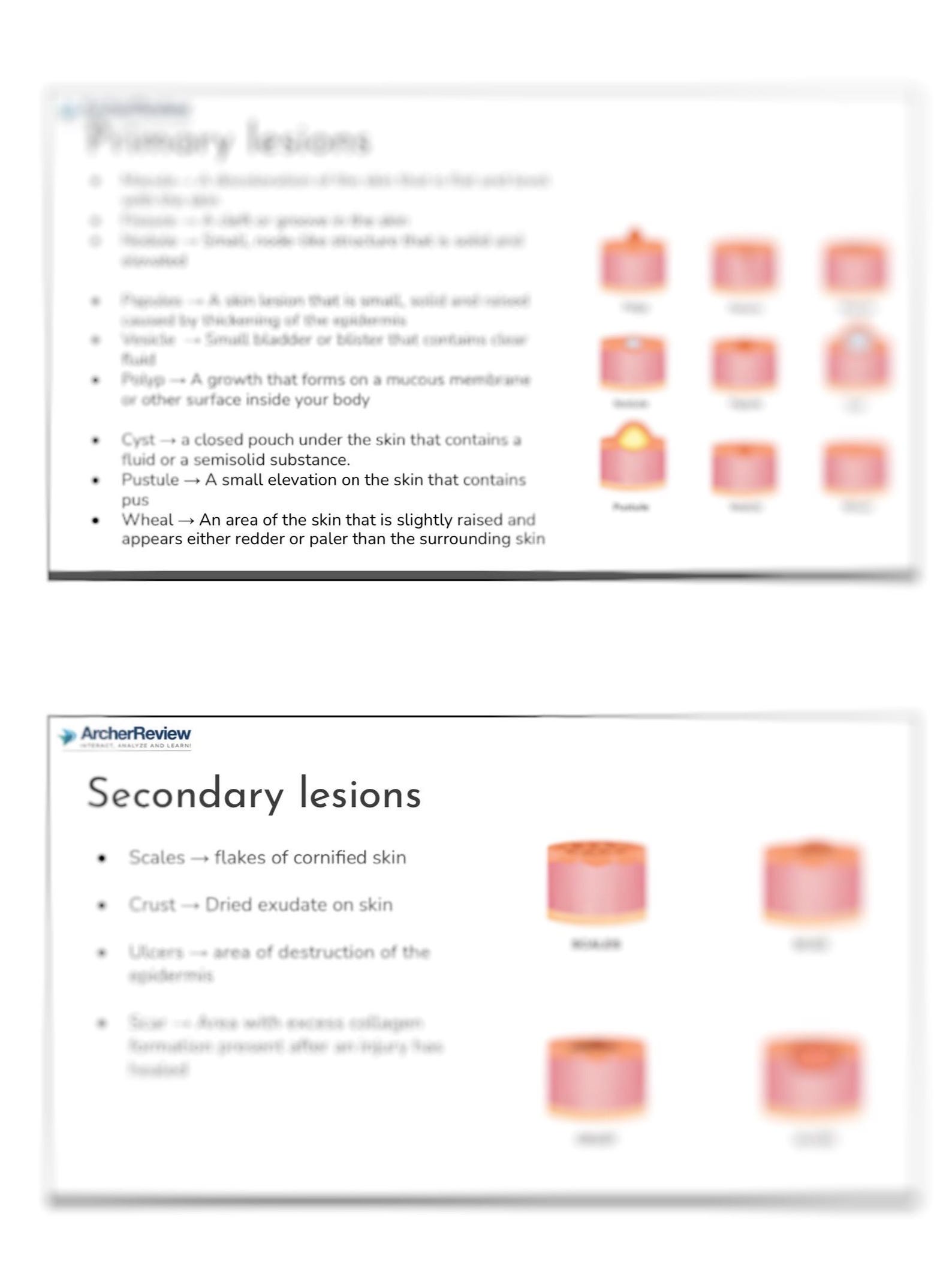 Archer Med Surg Integumentary Study Guide - Etsy