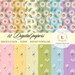 Daisy Seamless Digital Paper Pattern Multicolor Daisy Floral Pattern ...