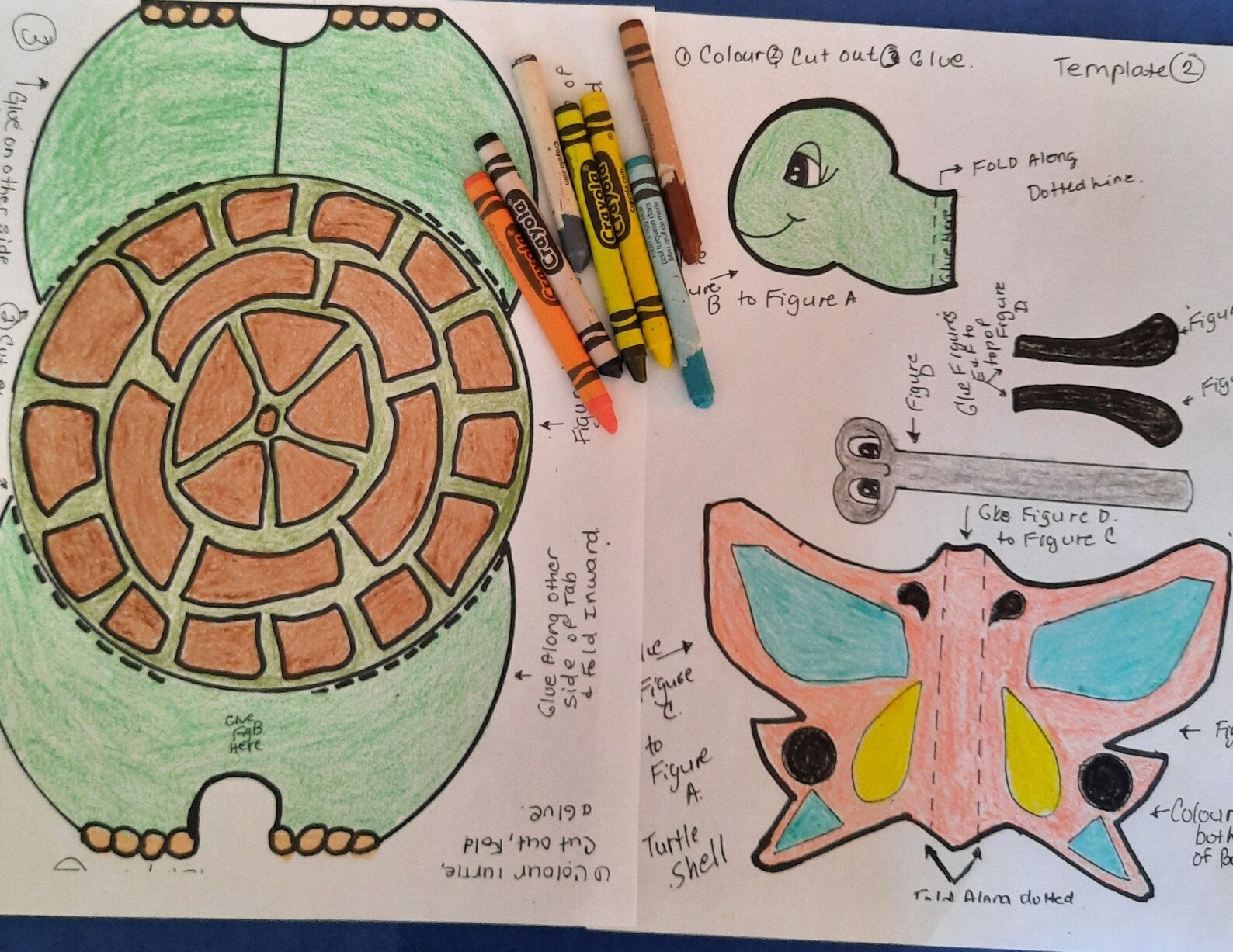 Build a Turtle Butterfly 3D Printable Pdf Craft. Colour Cut and Glue ...