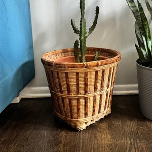 Bamboo Rattan - Etsy