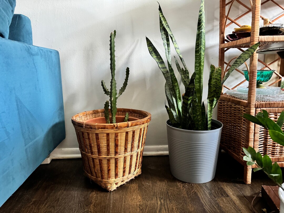 Vintage Burnt Bamboo + Rattan Planter Basket | Vintage Split ...