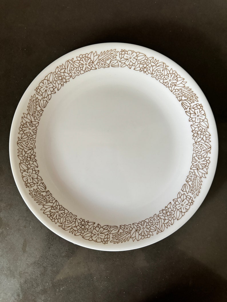 Vintage Corelle Woodland Brown Dinnerware Dinner Plates, Salad Plates ...