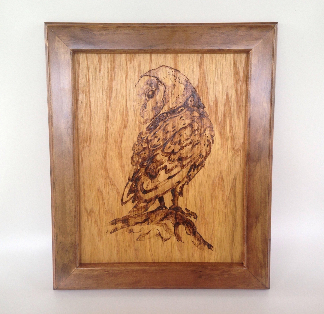 Barn Owl Wood Burning Art, Pyrography, Framed, Wildlife Art, Birds of ...