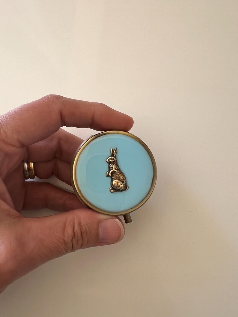 Pill Box With Brass Bunny Rabbit on Pastel Blue Resin, Antique Brass ...