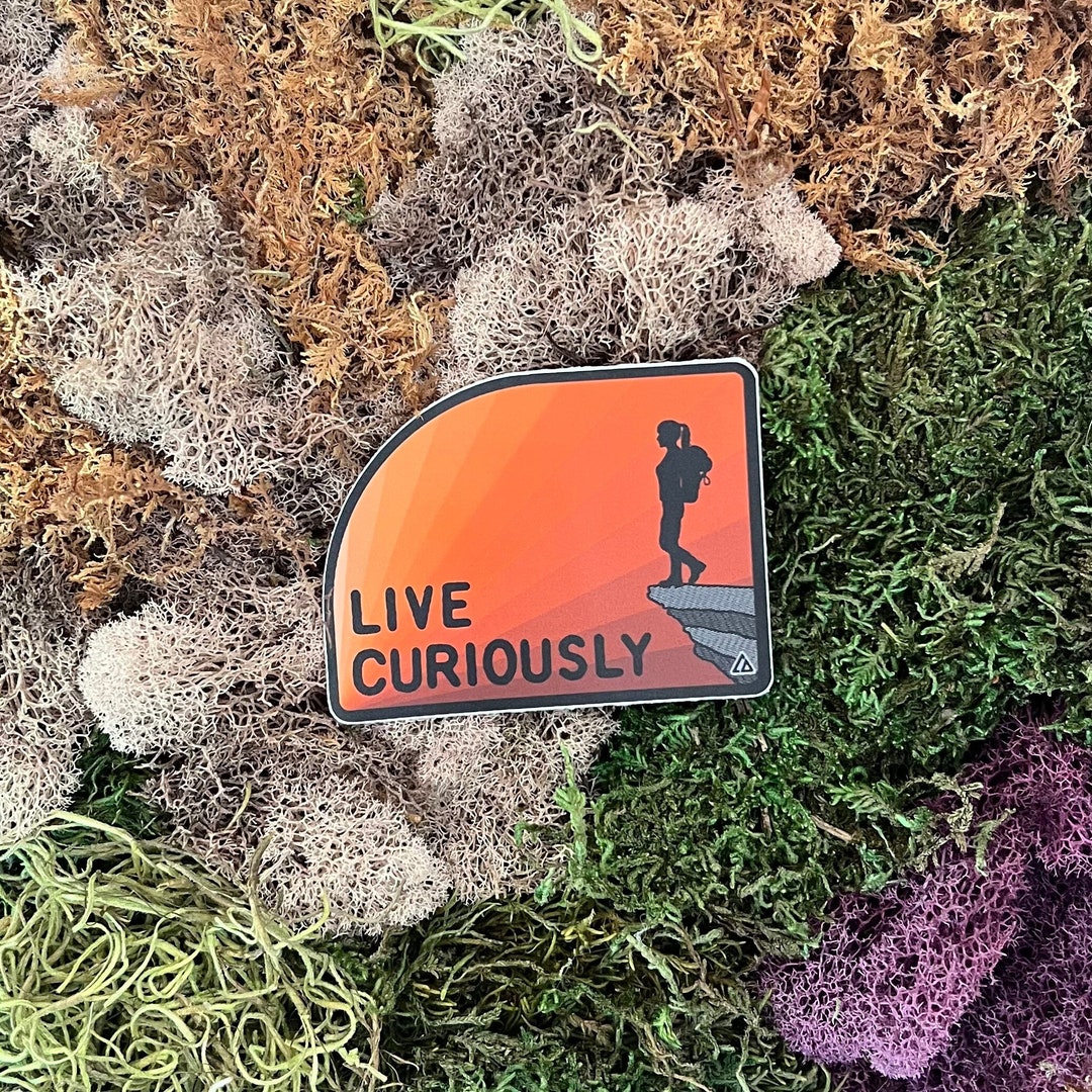 Live Curiously Orange Vinyl Sticker | Thick, Durable, Waterproof, & UV Resistant Sticker ...