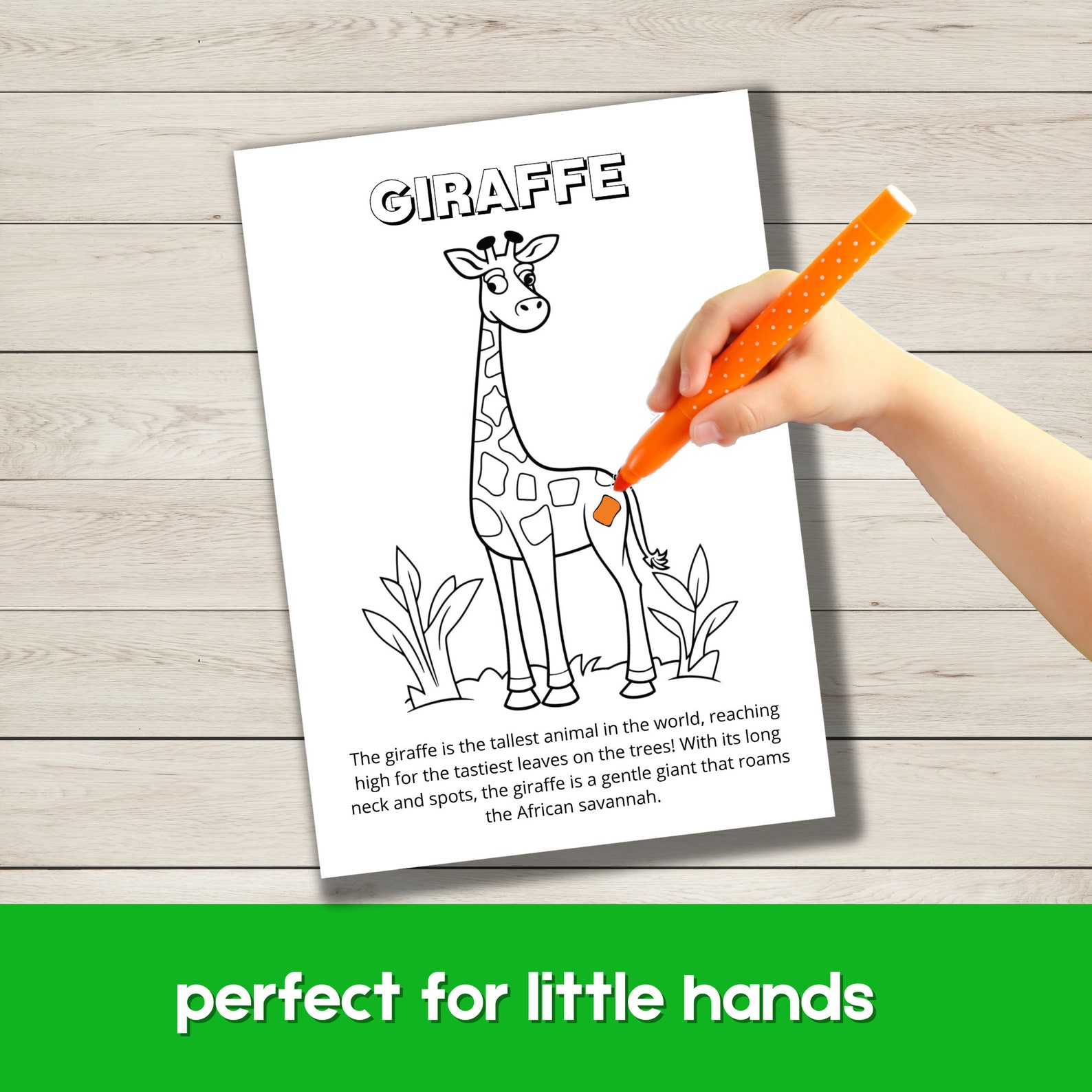 30 Easy Coloring Pages for Kids, Toddlers, Preschoolers Toddlers ...