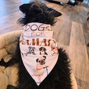 Dogs for Kamala Harris 2024 Pet Bandana We Are Not Going Back Kamala ...