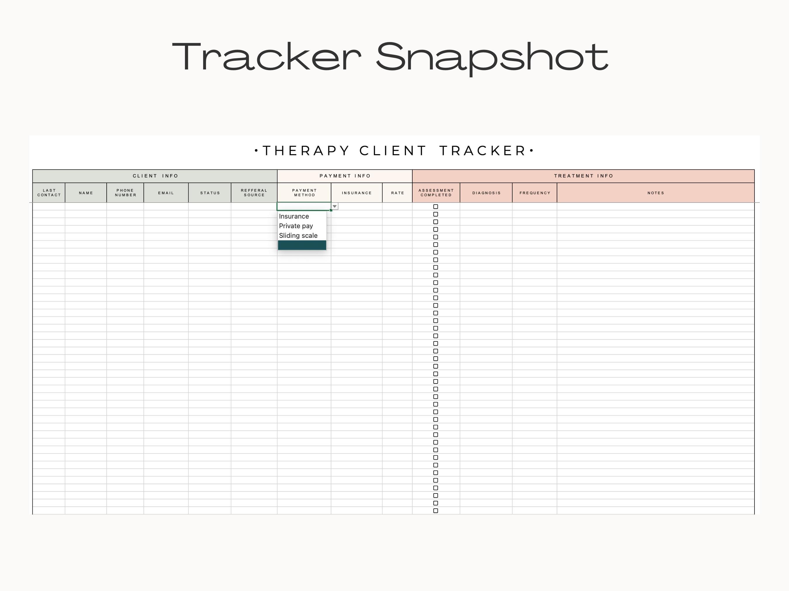 Therapy Client Tracker Excel, Client Tracker Social Work, Client ...
