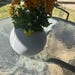 Modern Round Slanted Planter – Unique Indoor Outdoor Succulent Pot ...