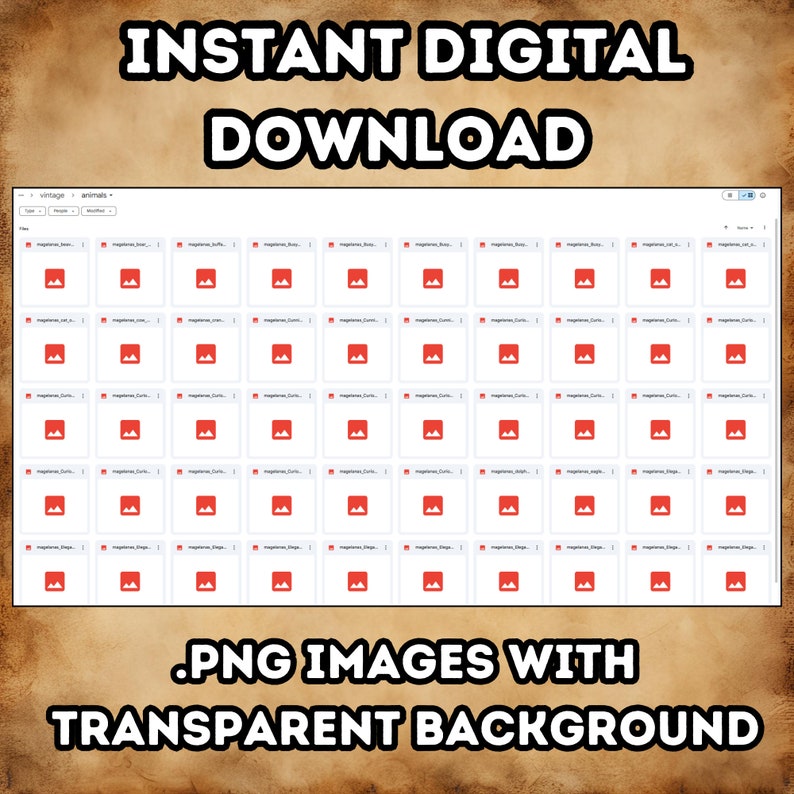 210+ Token Frames Collection, Dungeons and Dragons, RPG, Bundle, Varied ...