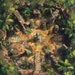 150 Jungle Themed RPG Maps Bundle, Dungeons and Dragons, RPG, Iso, High ...