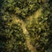 150 Jungle Themed RPG Maps Bundle, Dungeons and Dragons, RPG, Iso, High ...
