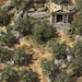 160+ Ancient Greece Themed RPG Maps Bundle, Dungeons and Dragons, RPG ...