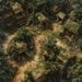 150 Jungle Themed RPG Maps Bundle, Dungeons and Dragons, RPG, Iso, High ...