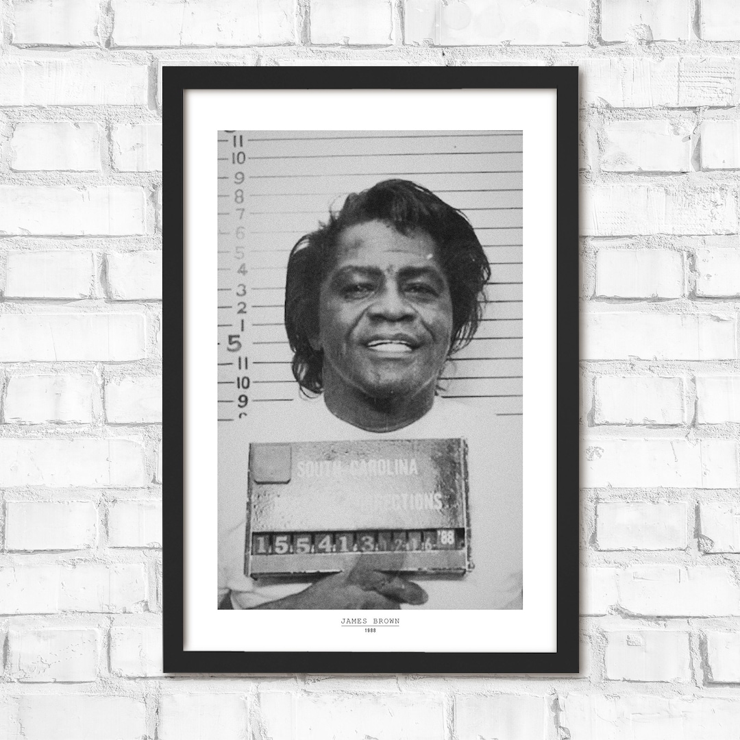 James Brown Poster, Mugshot, Celebrity Mugshot, Famous People, Wall Art ...