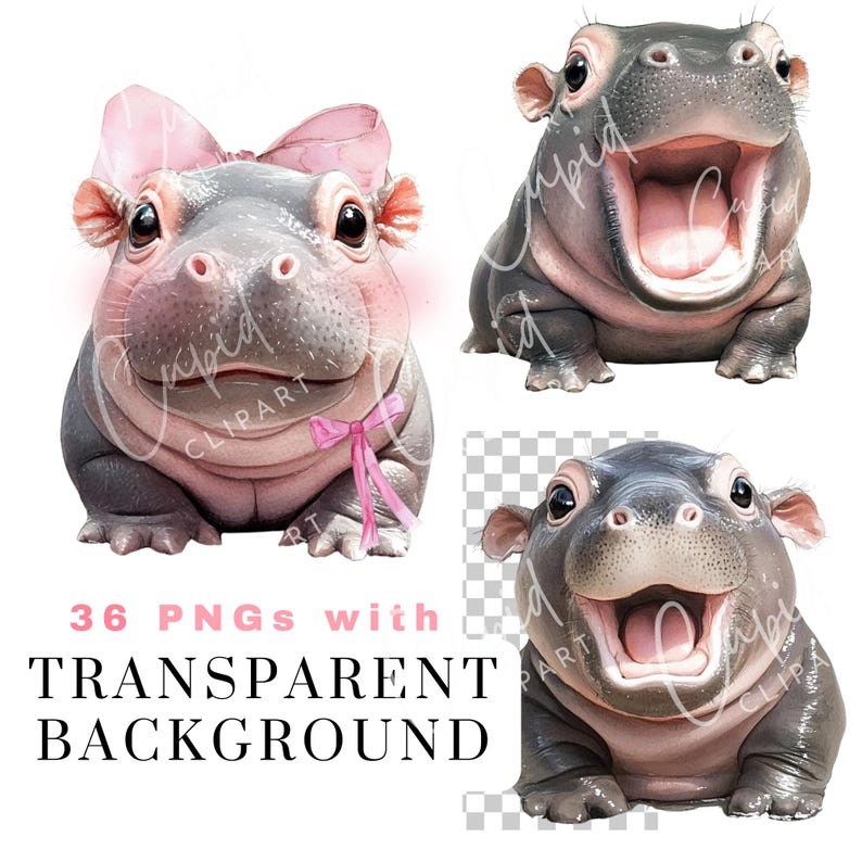 Moo Deng Styled Pygmy Hippo Clipart, Cute Pink Pygmy Hippo Clipart With ...