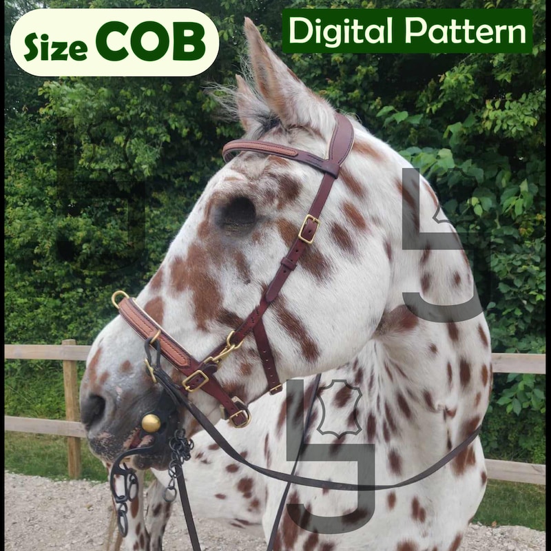 Cob Size Dressage Bridles - Etsy
