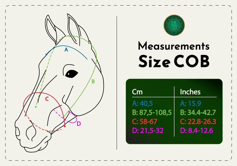 2-in-1 Bridle and Cavesson Leather Pattern (size Cob) (PDF+SVG+DXF) - Etsy