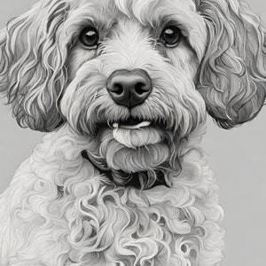 Cockapoo Line Drawing Prints, Greyscale, Wall Art, Digital Downloads ...