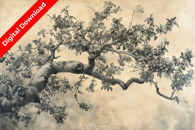 Fruit Tree - Sketch - Printable Art - Etsy