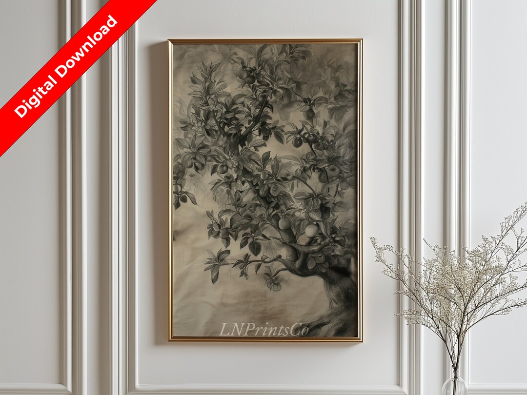 Fruit Tree - Sketch - Printable Art - Etsy