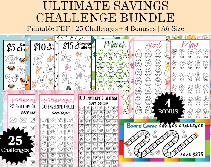 Budget Binder Savings Challenge Starter Set Set of 9 Mini Savings ...