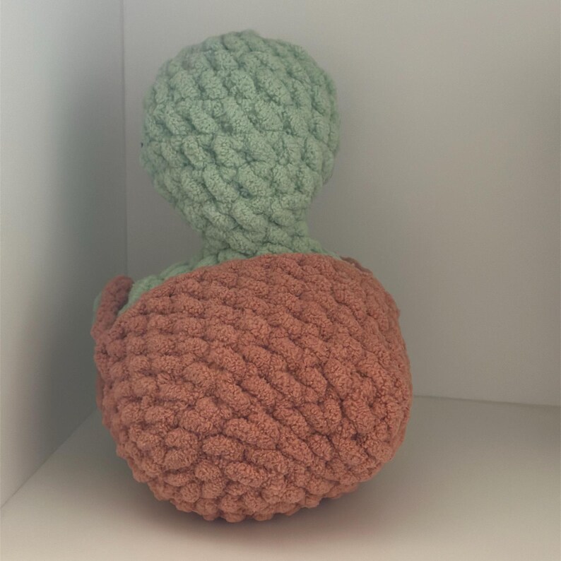 Cute Crochet Cheeky Turtle- Handmade Crochet Removable Shell Turtle ...