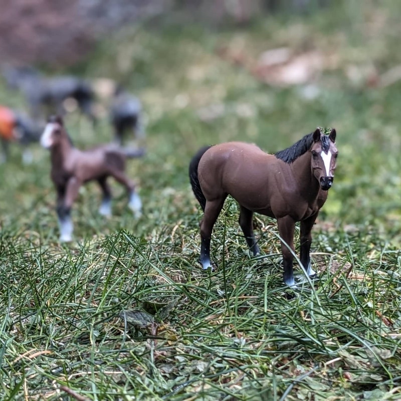 Model Horse - Etsy
