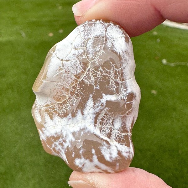 Snakeskin Agate - Etsy