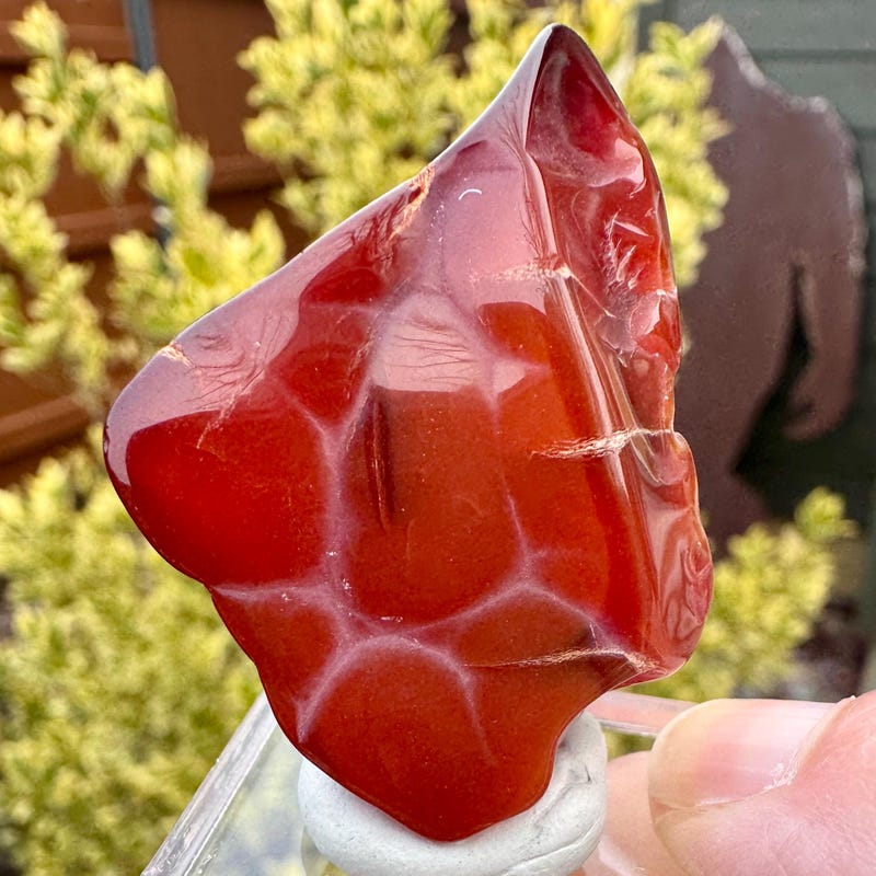 Buckskin Carnelian Agate - Etsy
