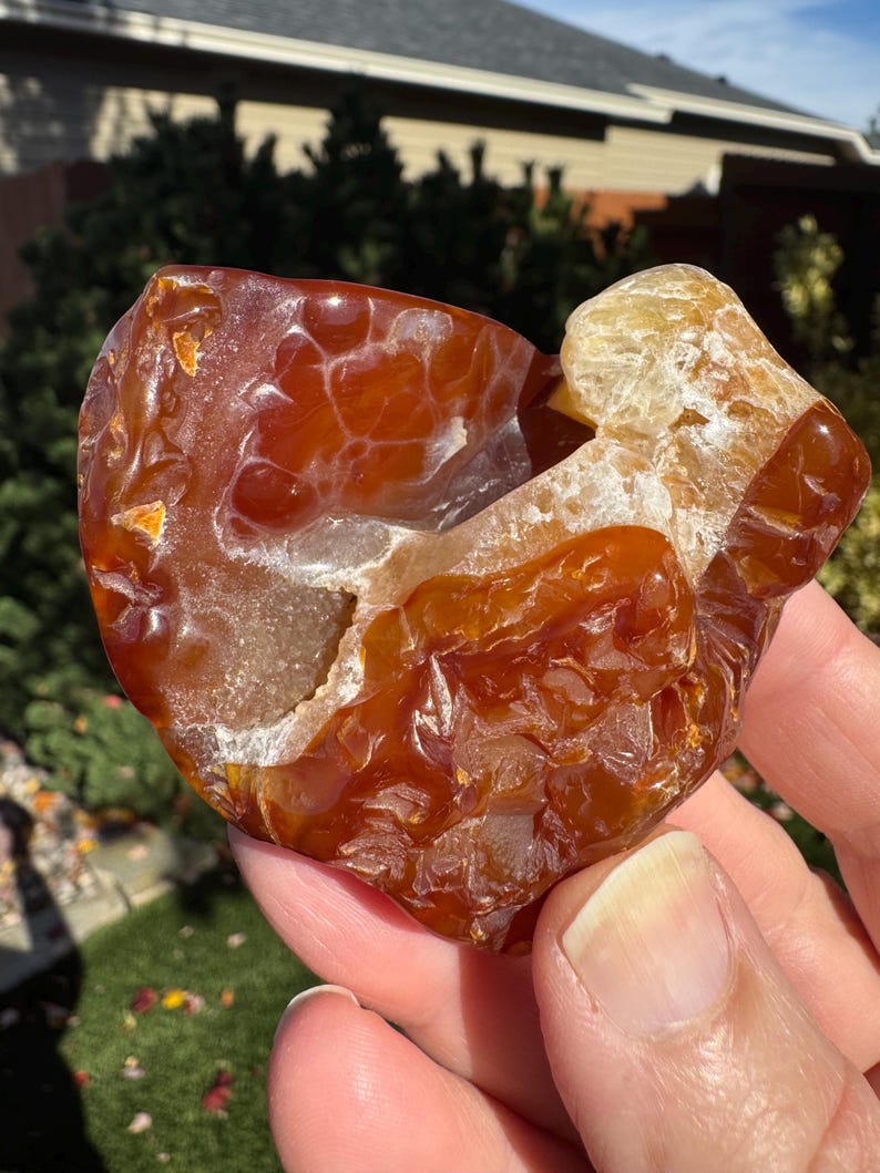 Volcanic Carnelian Agate • Botryoidal Ledge, Recessed Opalization ...