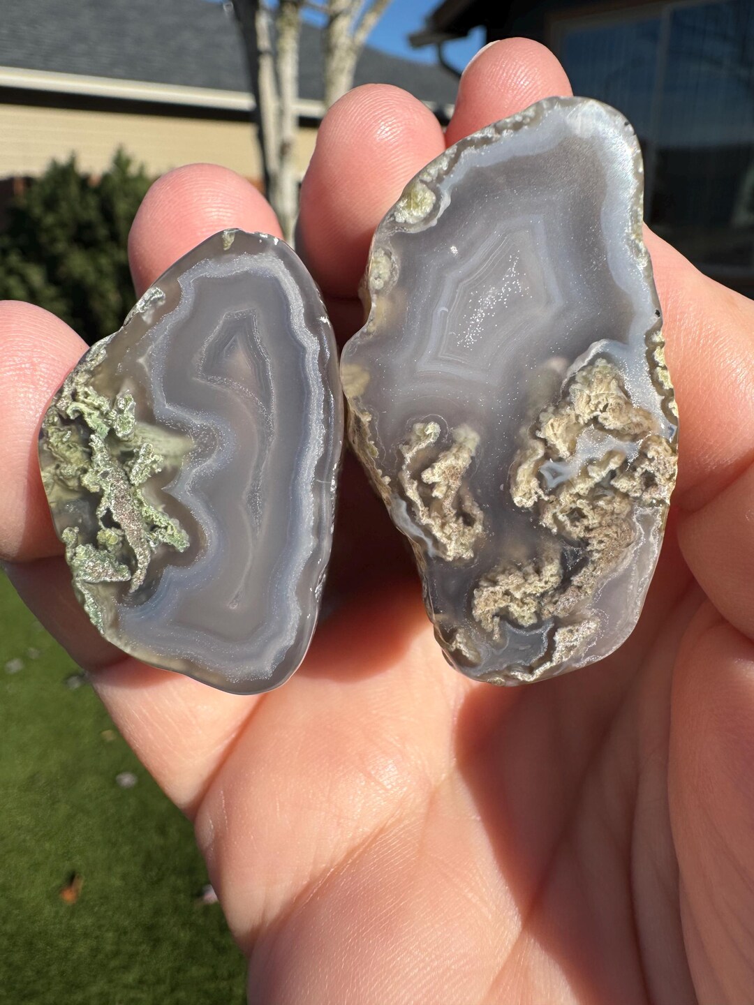 Green & Pink Limb Casts – Tumbled Fossil From Congleton Hollow, Oregon ...
