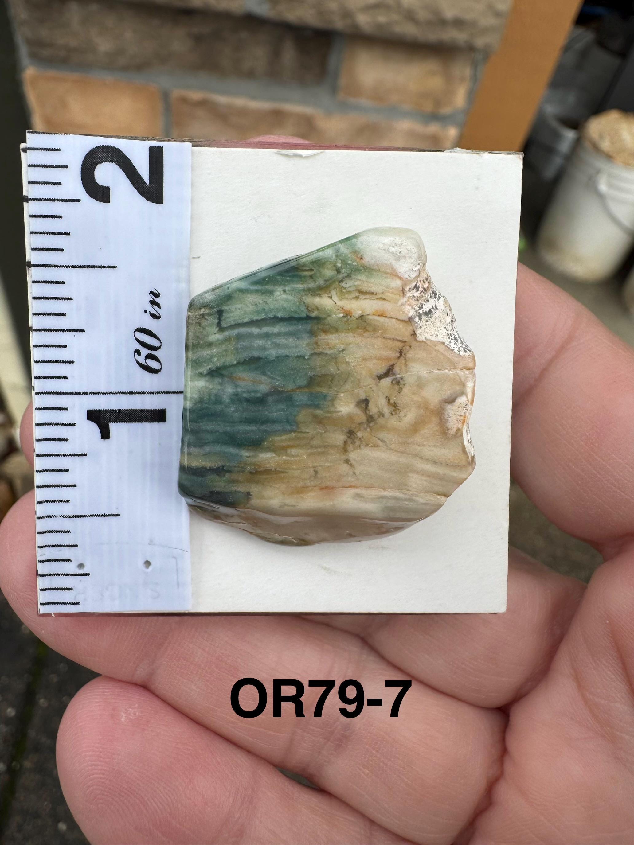 Gary Green Jasper Freeform Tumbled Stone | Jewelry or Lapidary Material ...