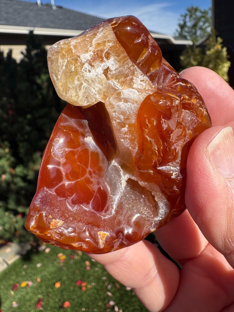 Volcanic Carnelian Agate • Botryoidal Ledge, Recessed Opalization ...