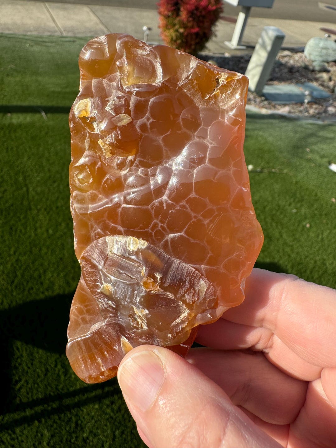 Butterscotch Botryoidal Agate From Southern Oregon. Tumbled to Show the ...