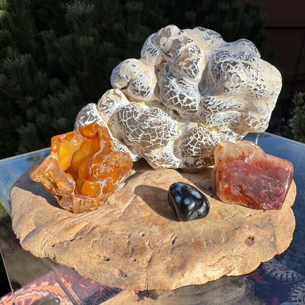 Snakeskin Agate - Etsy