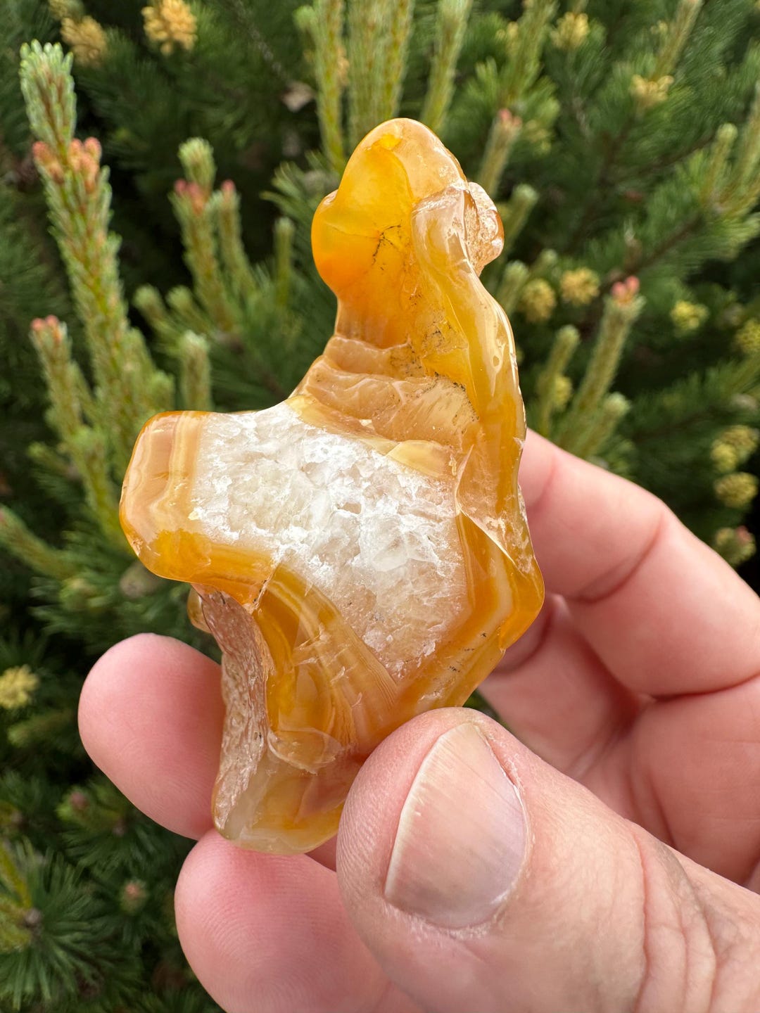 Carnelian Agate Nodule From Sweet Home, Oregon. Tumbled to Show Deep ...
