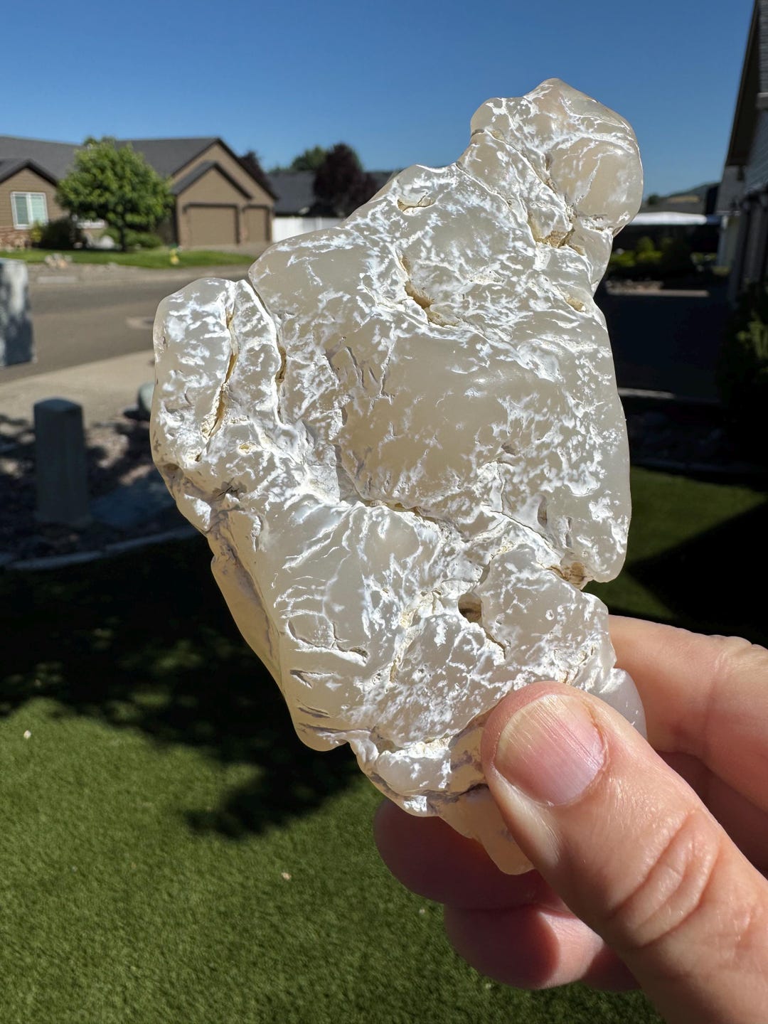 Snakeskin Agate From Rome, Oregon. Botryoidal Agate, Specimen Tumbled ...
