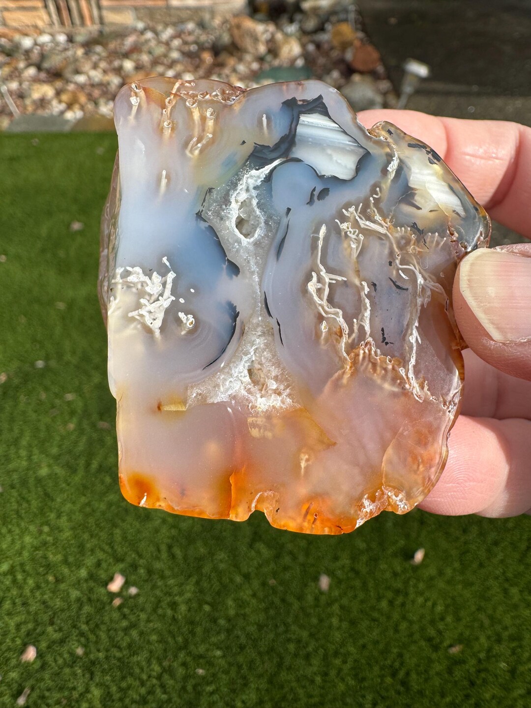Dendritic Agate With Moss Inclusions and Two Druzy Crystal Cavities ...
