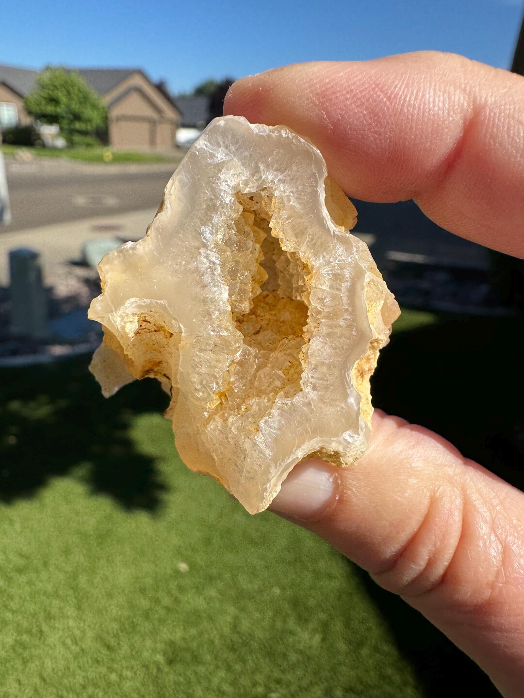 Agatized Bamboo Fossil: Indonesian Agate Stem Cluster, Polished Ends - Etsy