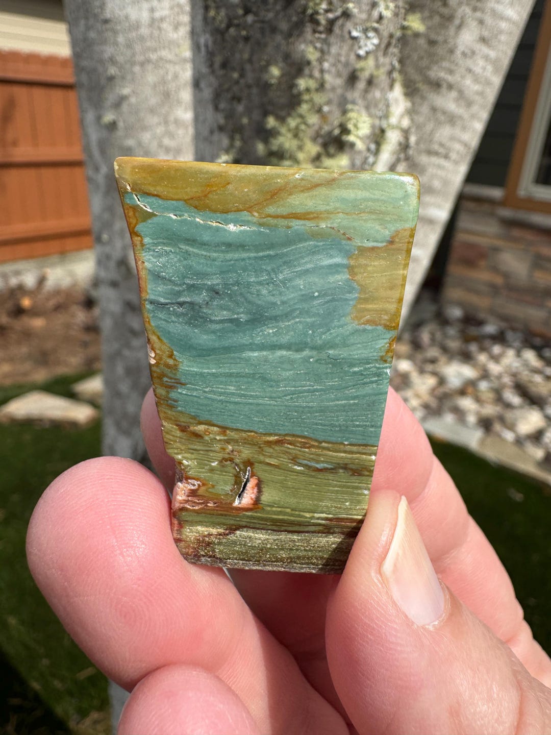 Gary Green Jasper Freeform Tumbled Stone | Jewelry or Lapidary Material ...