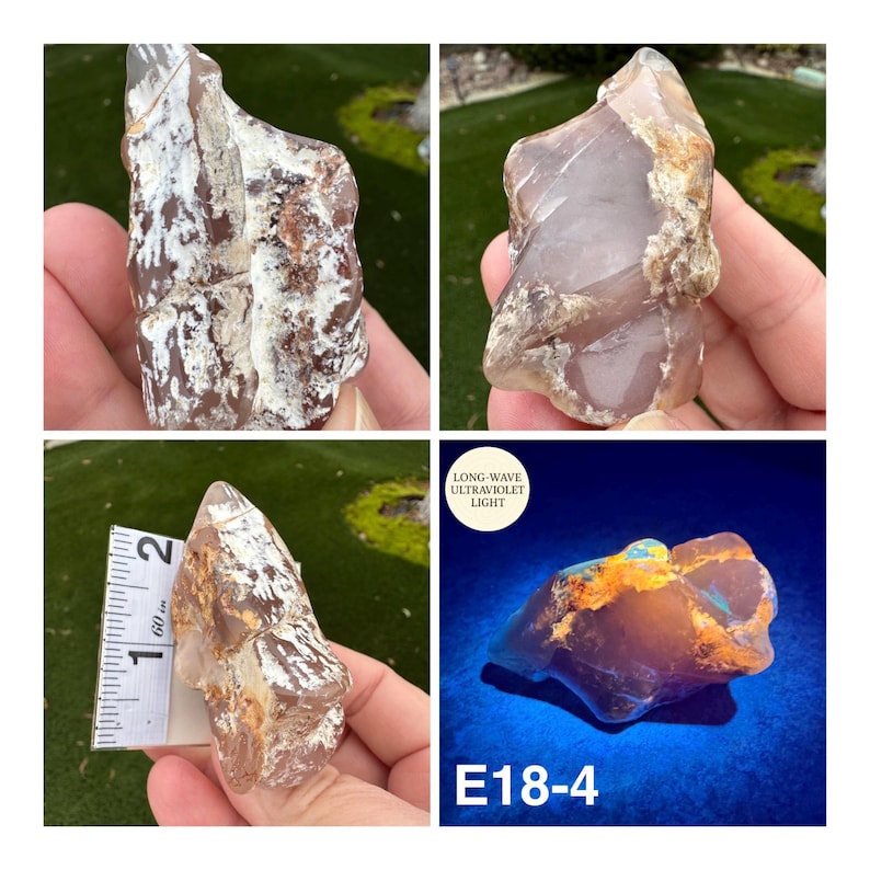 Pink Limb Casts From Texas Springs, Nevada | Specimen Tumbled ...