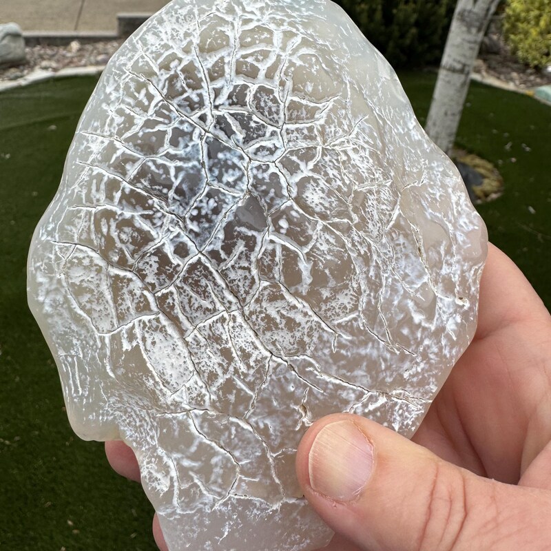 Snakeskin Agate - Etsy
