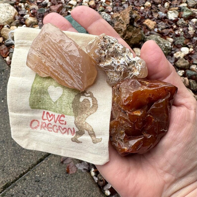 Oregon Agates in a Bigfoot Treasure Bag, Carnelian, Limb Cast, and ...