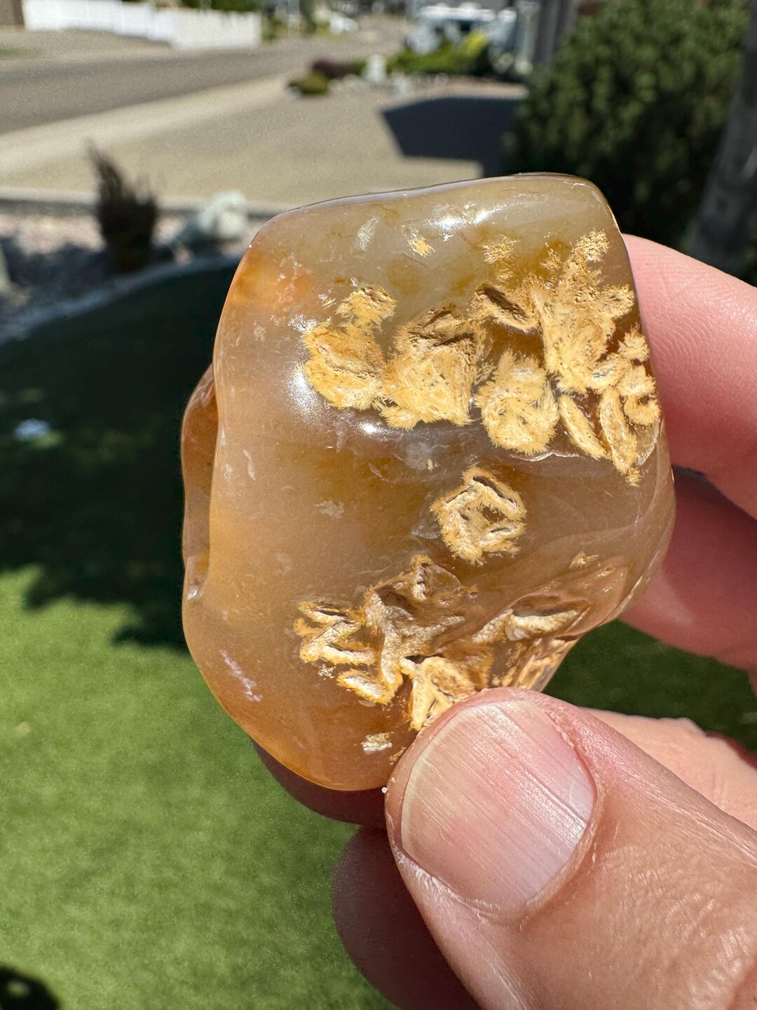 Tumbled River Agate: Oregon Sweet Home Epimorphs & Crystal Cavern - Etsy