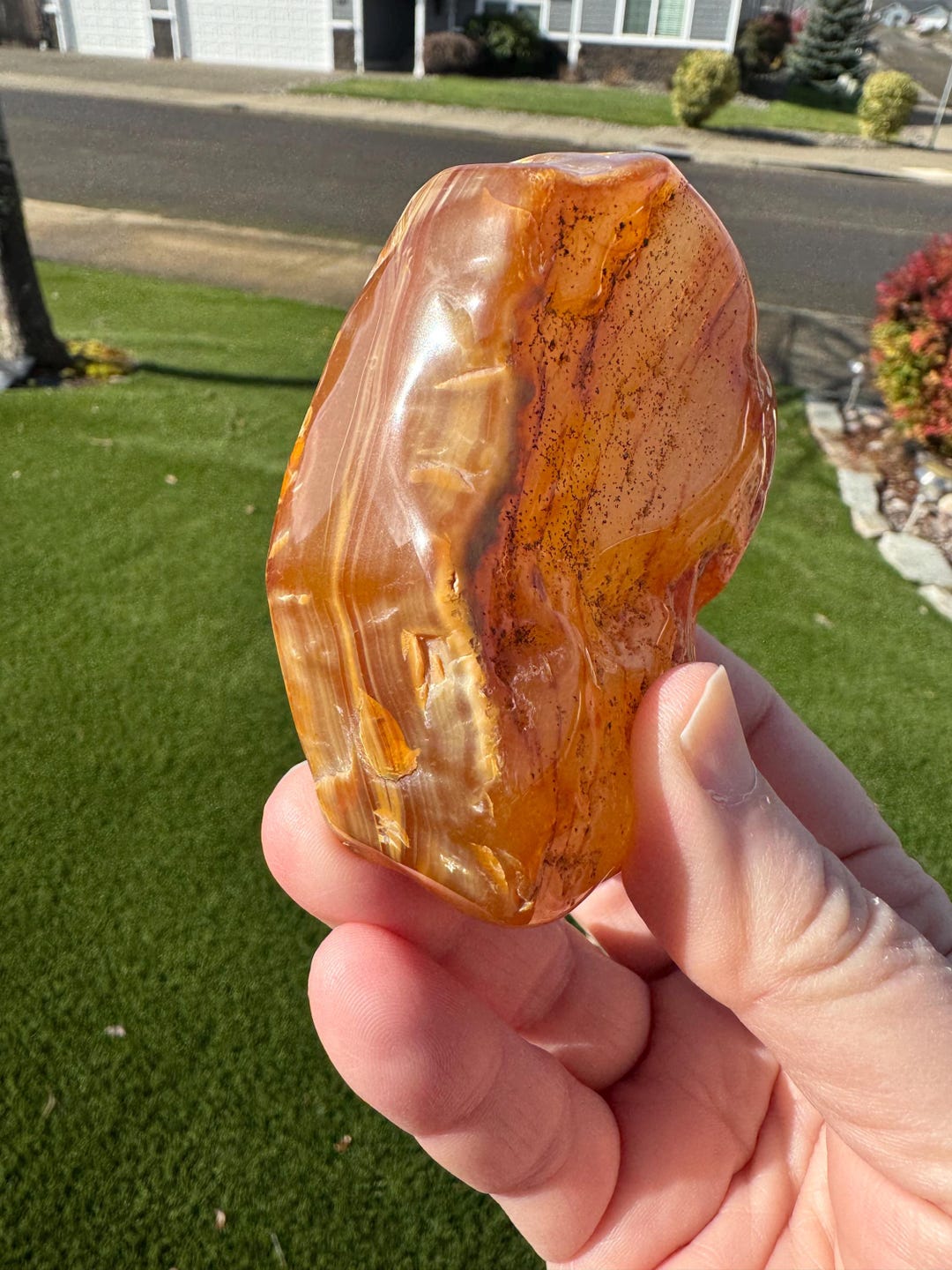 Carnelian Agate With Opalized Fortification Lines. Glows When Backlit ...
