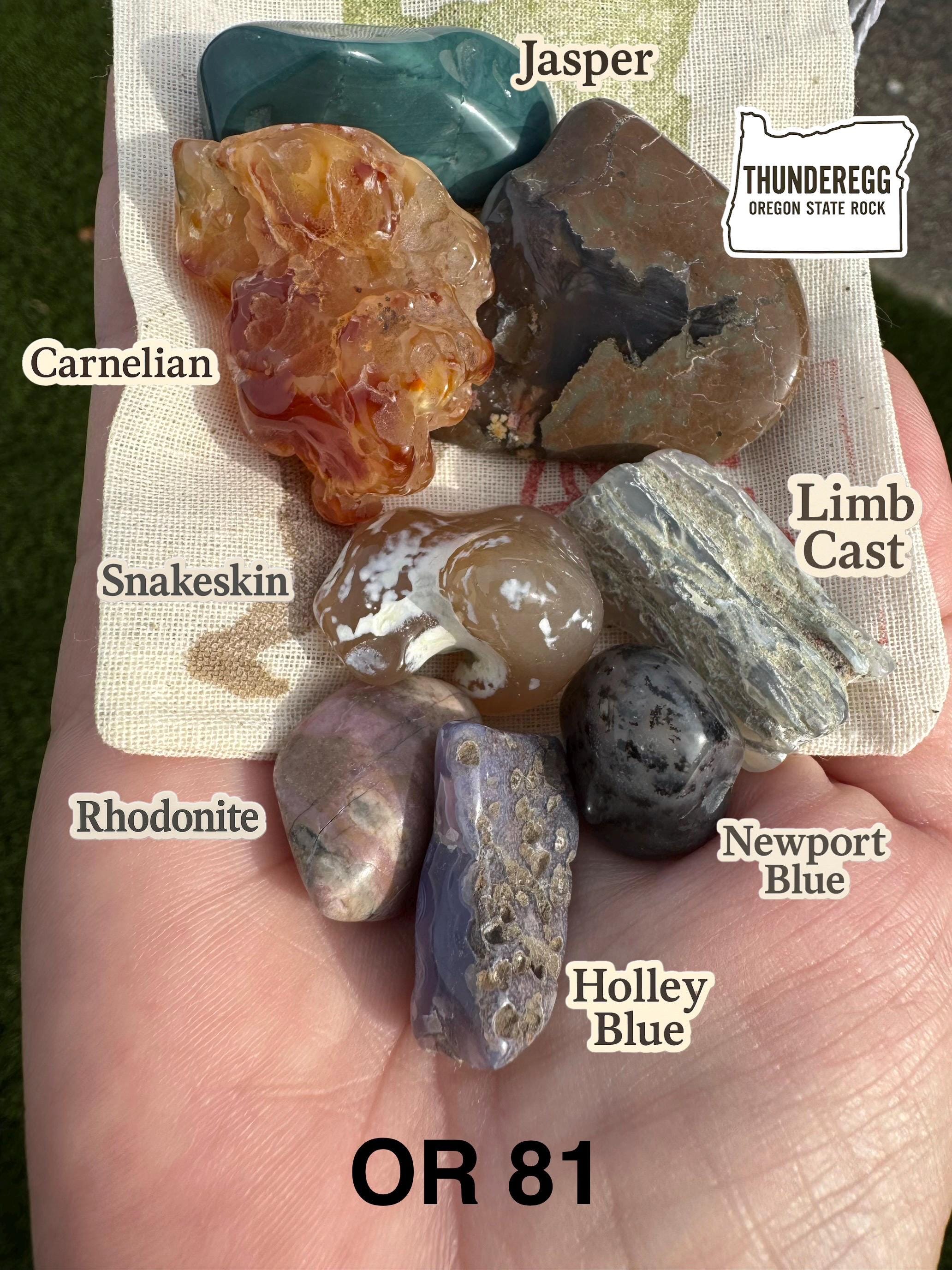 Carnelian, Limb Cast, Snakeskin Agates | Rock Collection in a Bigfoot ...