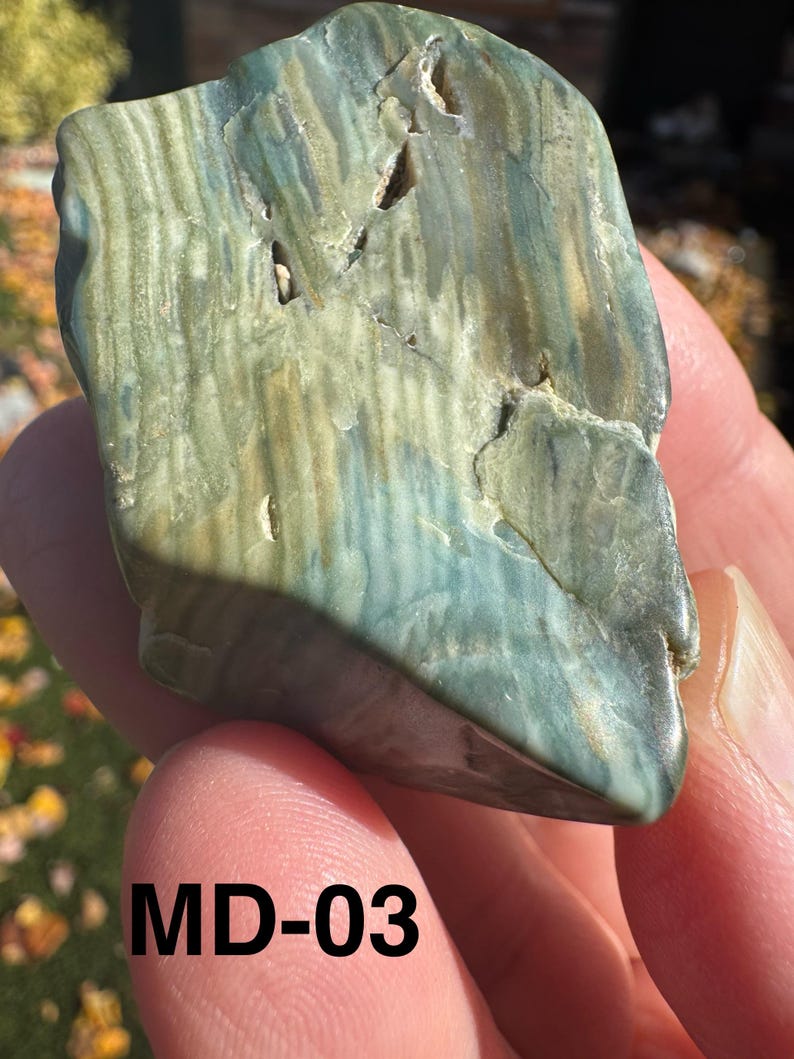 Gary Green Jasper | Tumbled Mcdermott Caldera Gemstone From Oregon ...