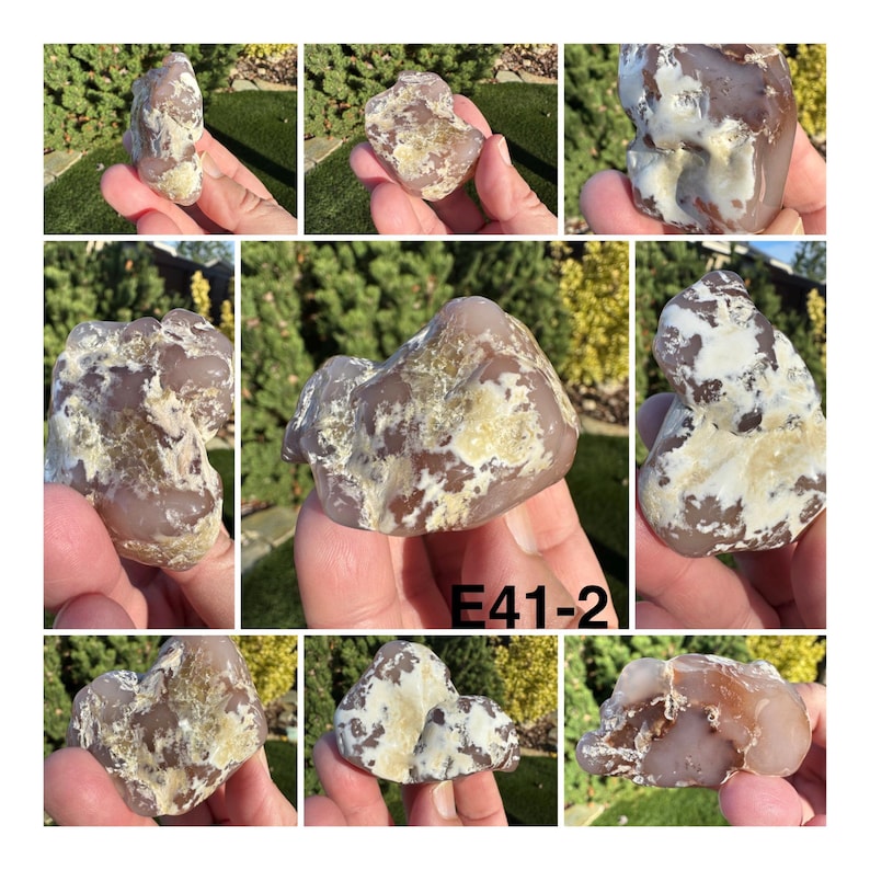 Pink Limb Casts From Texas Springs, Nevada | Specimen Tumbled ...
